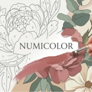 Numicolor - Play for free - Online Games
